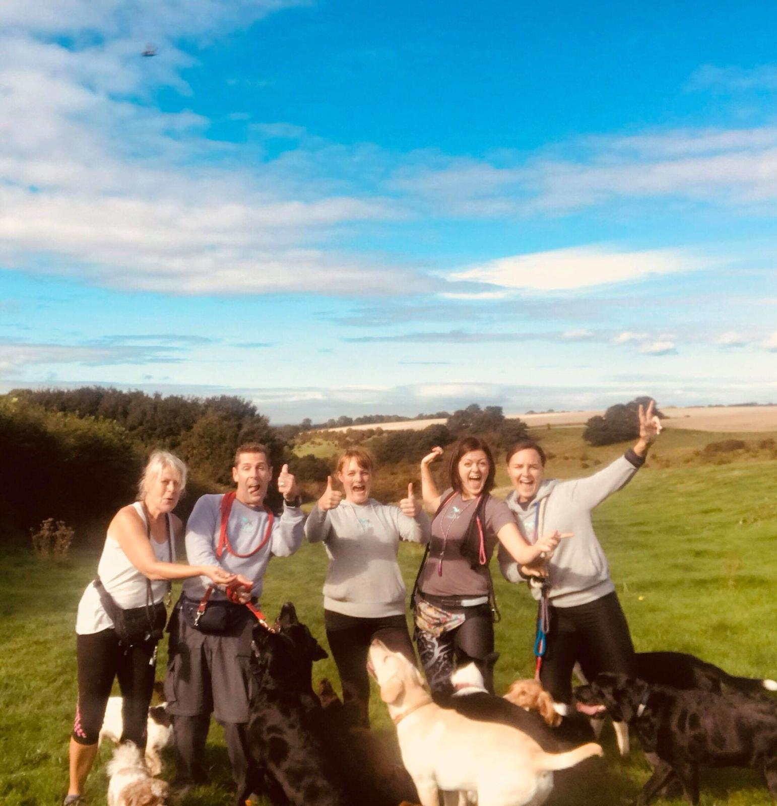 Best Comprehensive Dog Walking Company In Yorkshire 